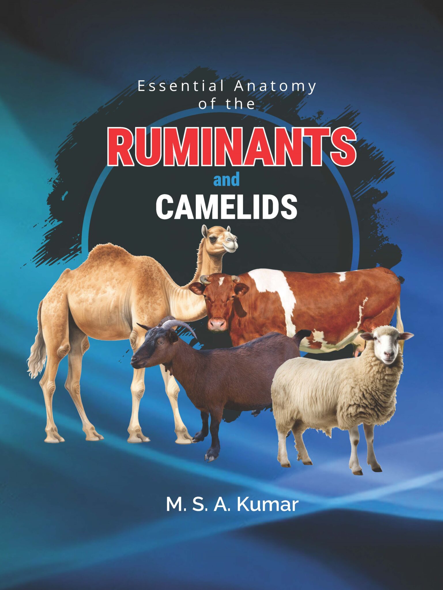 Essential Anatomy of the Ruminants and Camelids – ActiveBook