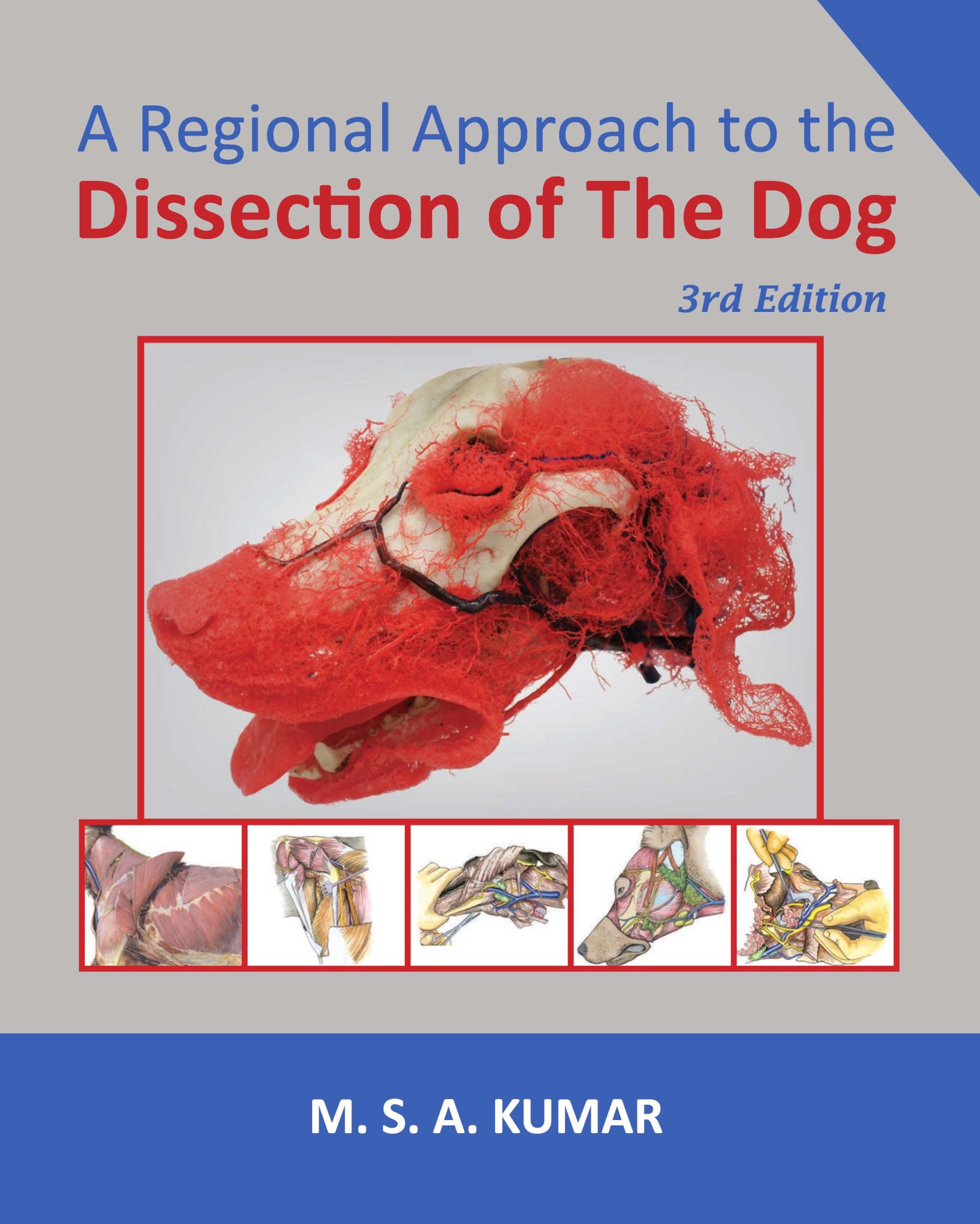 A Regional Approach to the Dissection of the Dog (3rd Edition) – ActiveBook